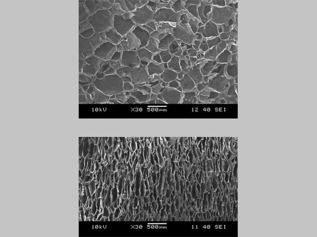 Elastic PLA foam - Danubia
