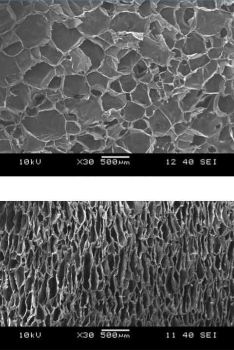 Elastic PLA foam - Danubia