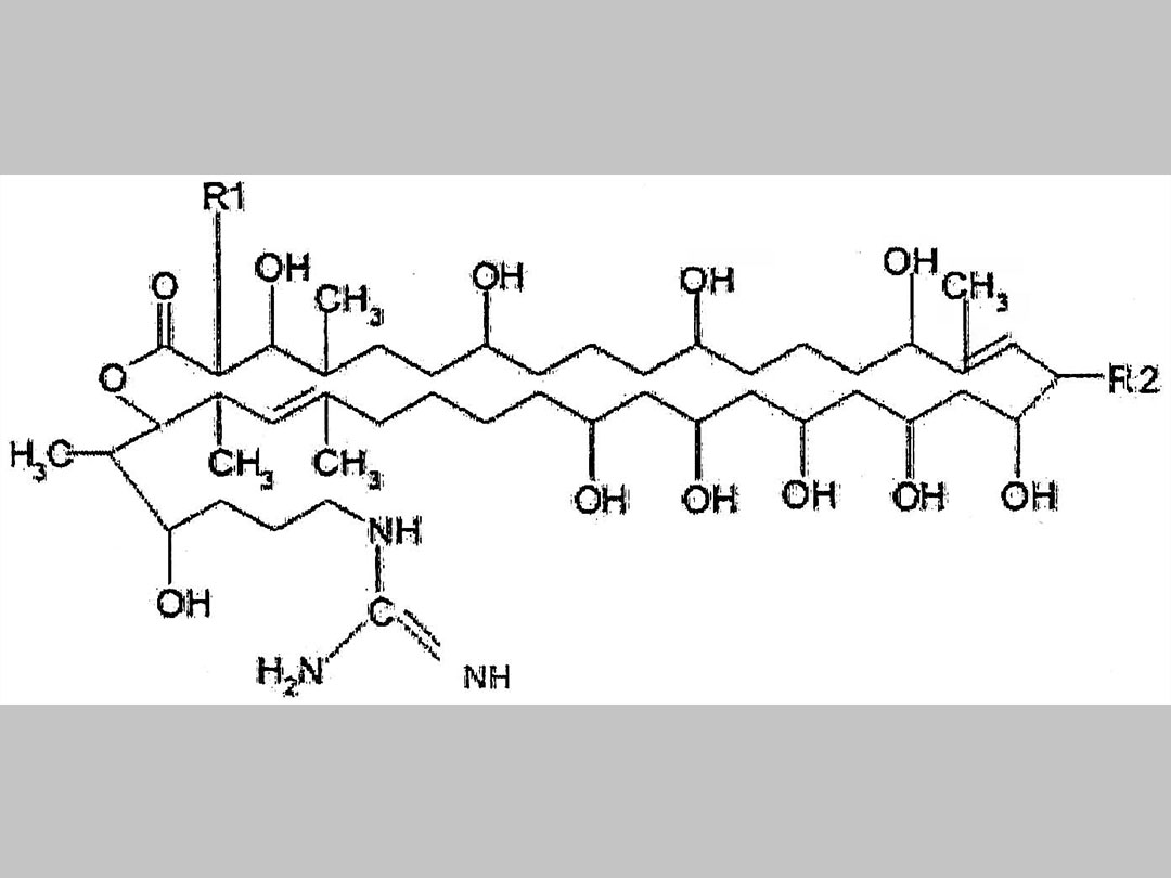 Primycin and its components and combinations thereof for use in the ...
